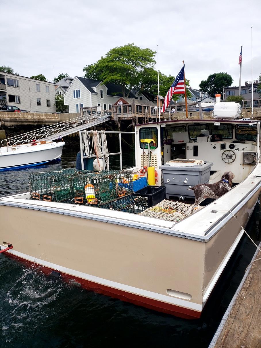 36' Wayne Beal Lobster Boat 2001 - Cat 375 HP - Area 1 Lobster Extra ...