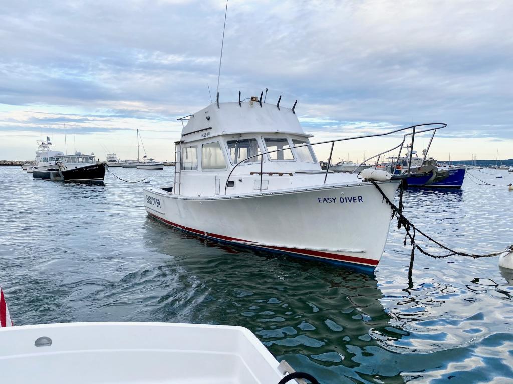 30' Sisu Downeast Flybridge Cruiser 1984 - Cat 205 HP - Midcoast Yacht ...